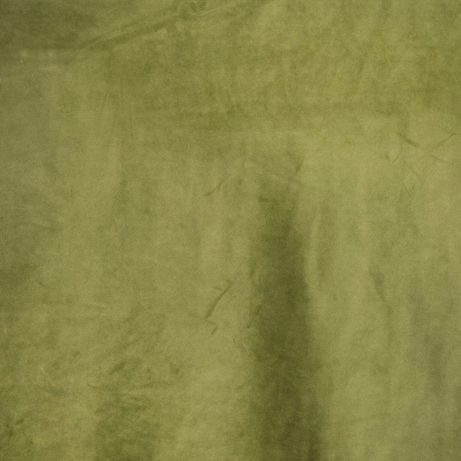 Olive Green Velvet - ELEGANT EDGE
