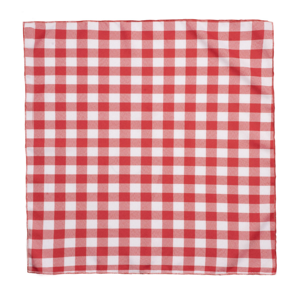 Red Gingham Napkin - ELEGANT EDGE